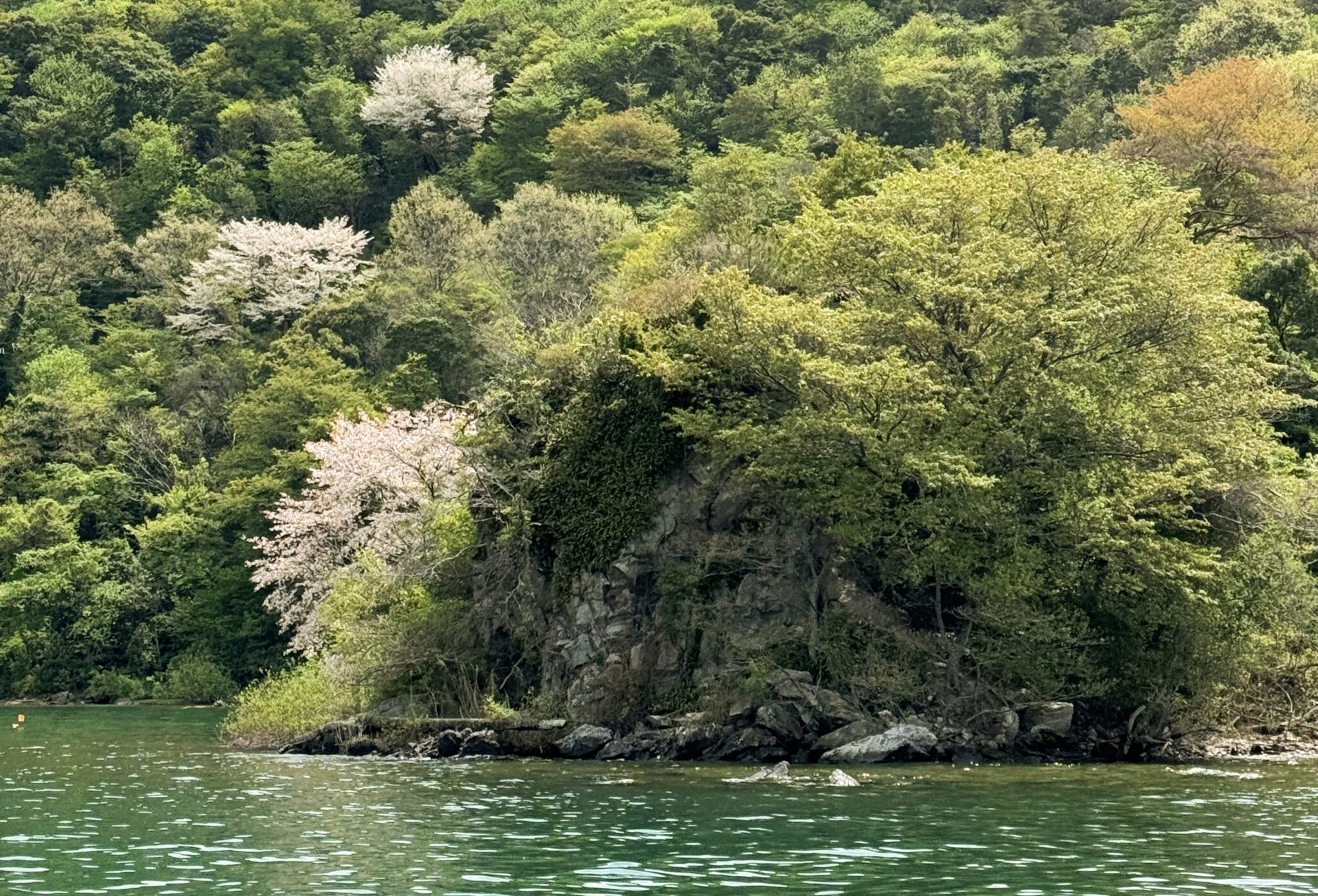 A Guide to Bass Fishing in Japan: Rules, Spots, and Tips - Japan Bass ...