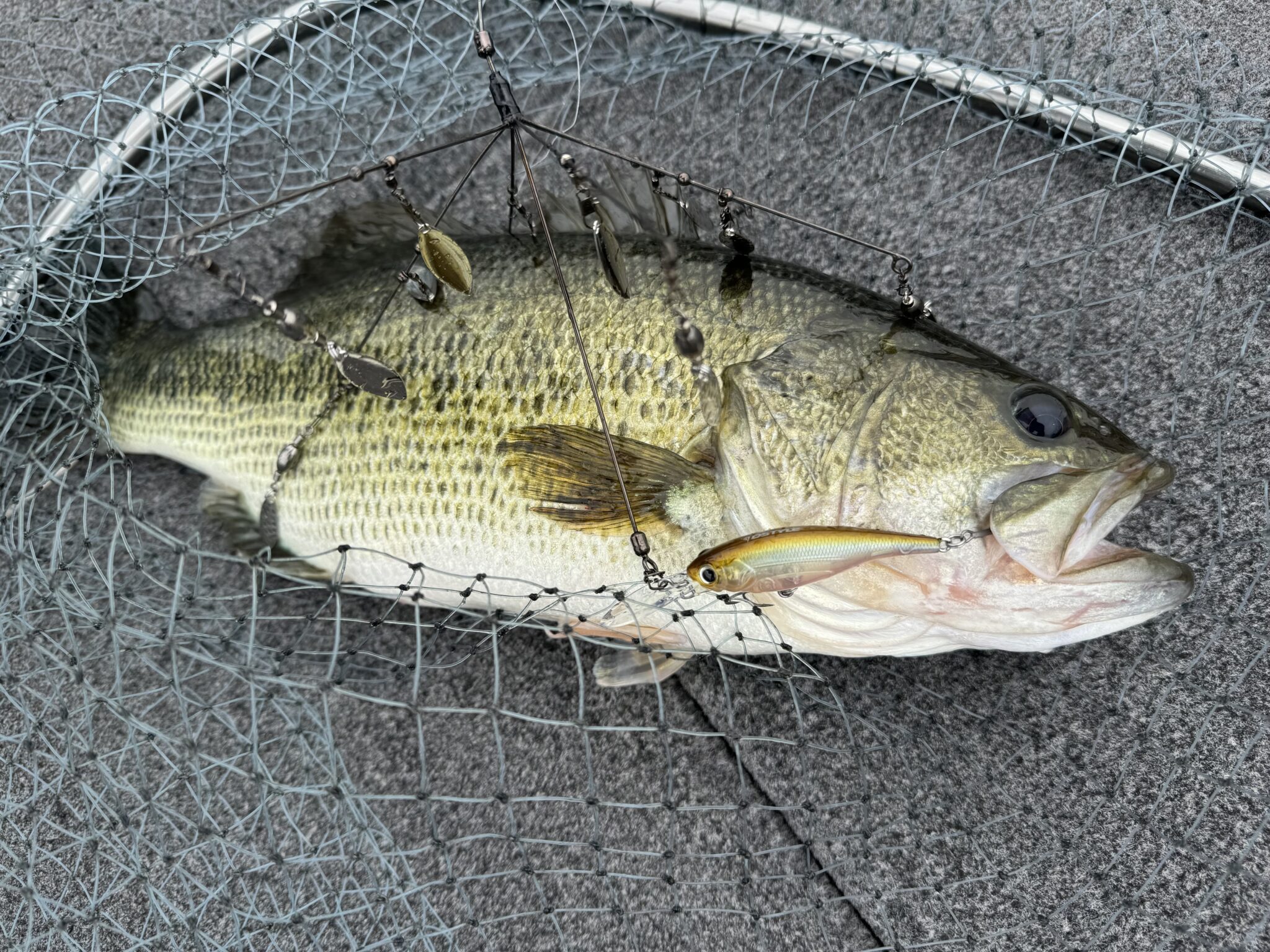 Japan Bass Fishing Guide: How to Plan a Trip (Complete 2025) - Japan ...