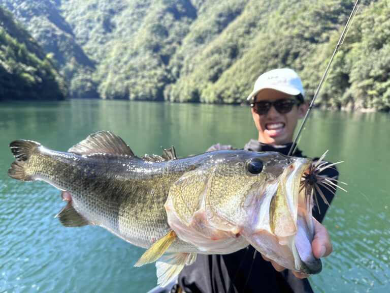 Japan Bass Fishing Guide: How to Plan a Trip (Complete 2025) - Japan ...