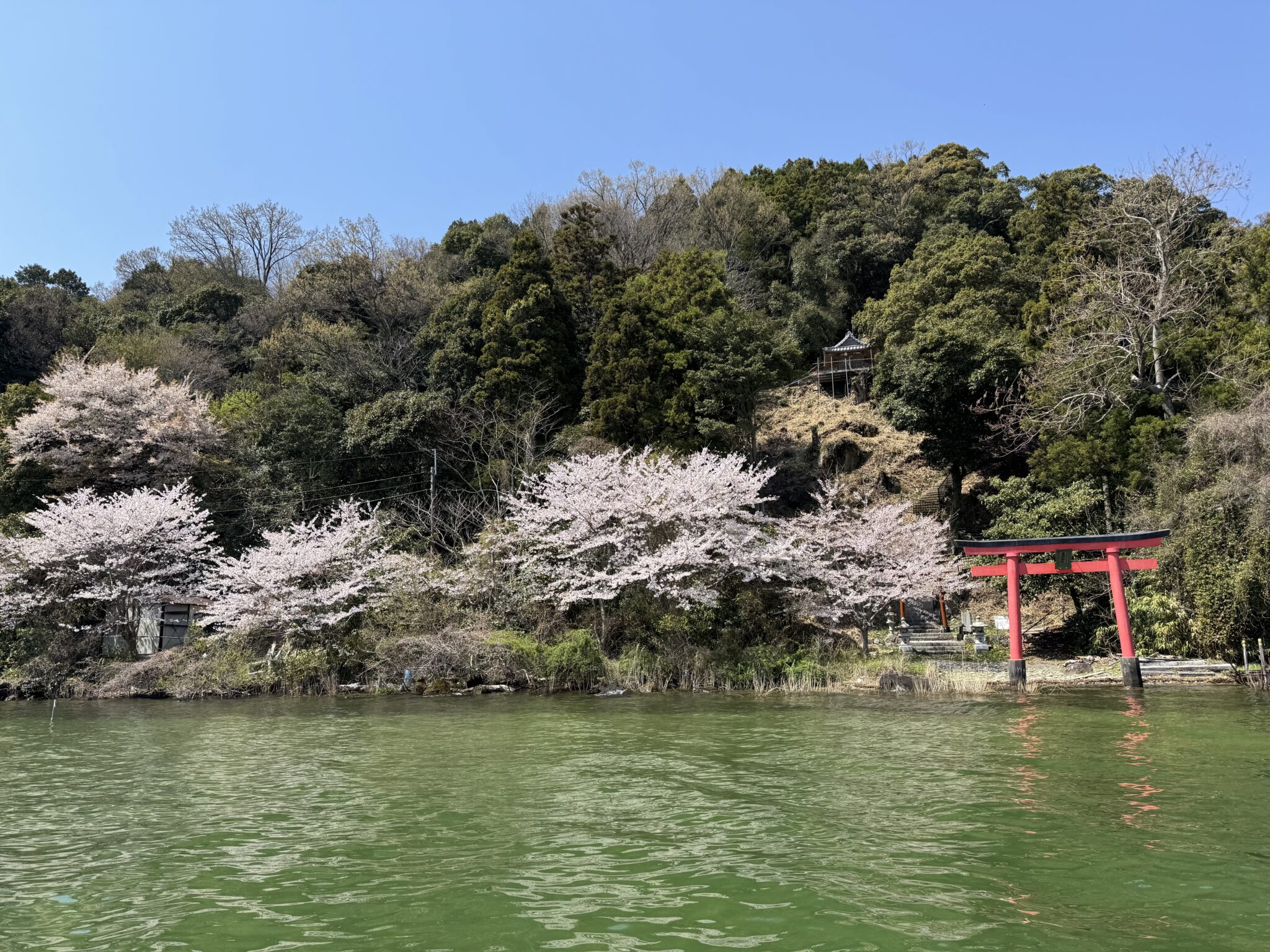 Japan Bass Fishing Guide: How to Plan a Trip (Complete 2025) - Japan ...